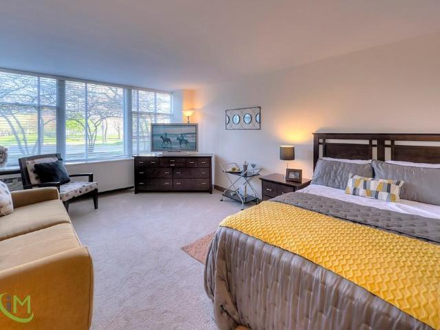 Studio Apartment for Rent at S King Dr #01 1211, Chicago, IL 60616 Douglas