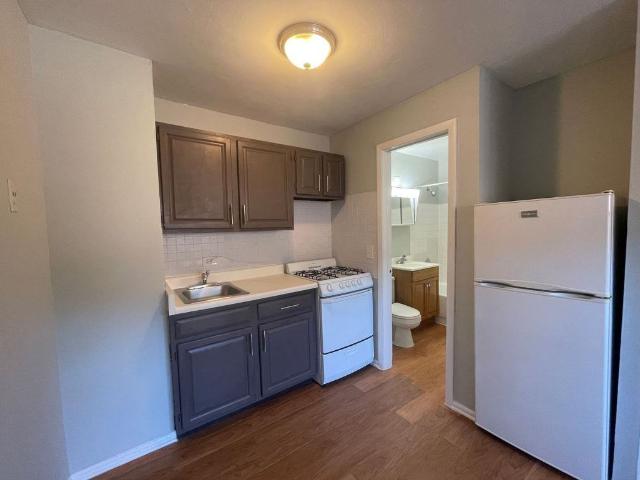 Studio Apartment for Rent at W Wilson Ave & N Dover St, Chicago, IL 60640 Uptown