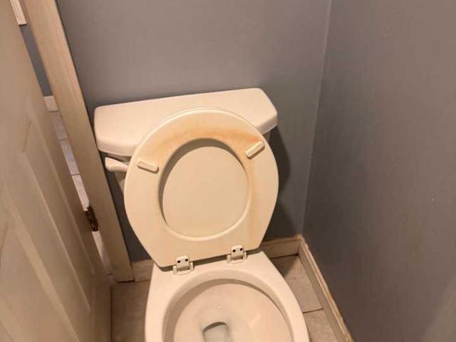 Studio Apartment for Rent at 146 Chandler St #7, Worcester, MA 01609 Main Middle