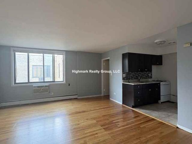 Studio Apartment for Rent at 1515 W Morse Ave #305, Chicago, IL 60626 Rogers Park