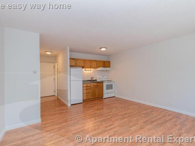Studio Apartment for Rent at 162 Summer St #15, Somerville, MA 02143 Spring Hill