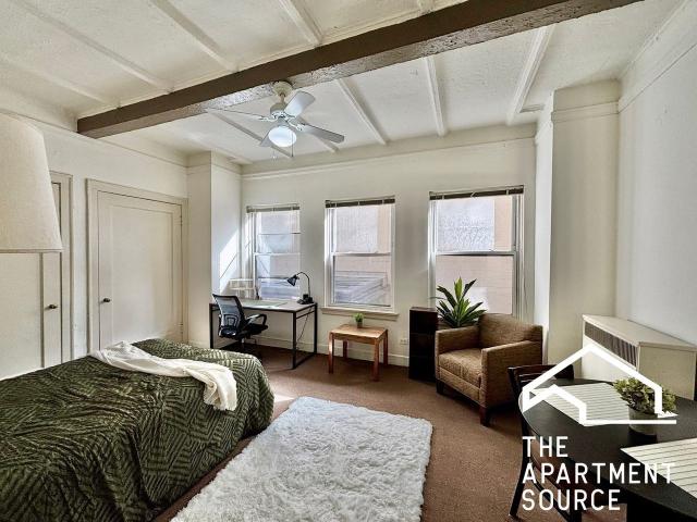 Studio Apartment for Rent at 1220 N State Pkwy #F, Chicago, IL 60610 Near North Side