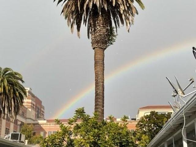 Studio Apartment for Rent at 1232 15th St #Q, Santa Monica, CA 90404 Mid City
