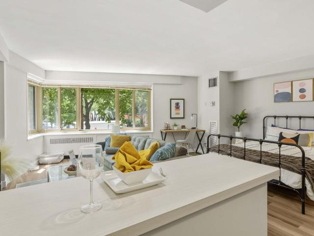Studio Apartment for Rent at 1350 N Lake Shore Dr, Chicago, IL 60610 Near North Side