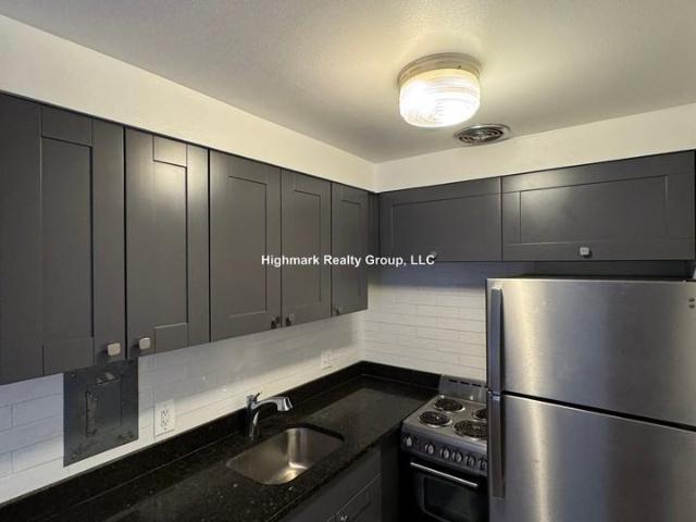 Studio Apartment for Rent at 3825 N Pine Grove Ave #420, Chicago, IL 60613 Lakeview