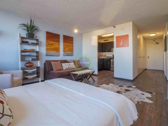 Studio Apartment for Rent at 555 W Madison St #06, Chicago, IL 60661 Near West Side