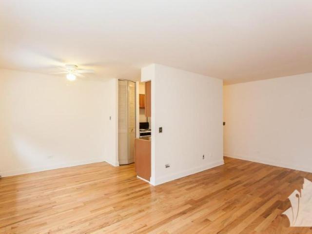Studio Apartment for Rent at 510 W Briar Pl, Chicago, IL 60657 Lakeview