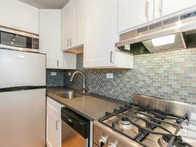 Studio Apartment for Rent at 511 W Belmont Ave #33, Chicago, IL 60657 Lakeview
