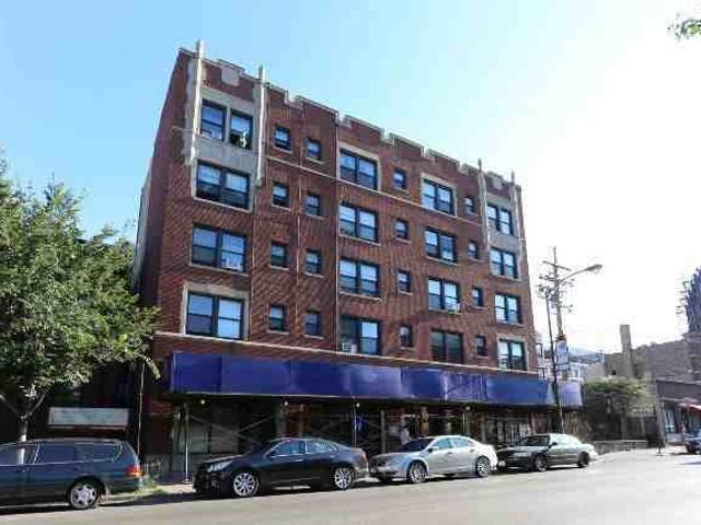 Studio Apartment for Rent at 739 W Belmont Ave #316, Chicago, IL 60657 Lakeview