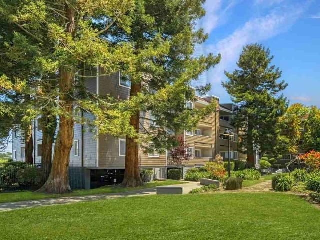 Studio Apartment for Rent at 862 Campus Dr, Daly City, CA 94015 Serramonte