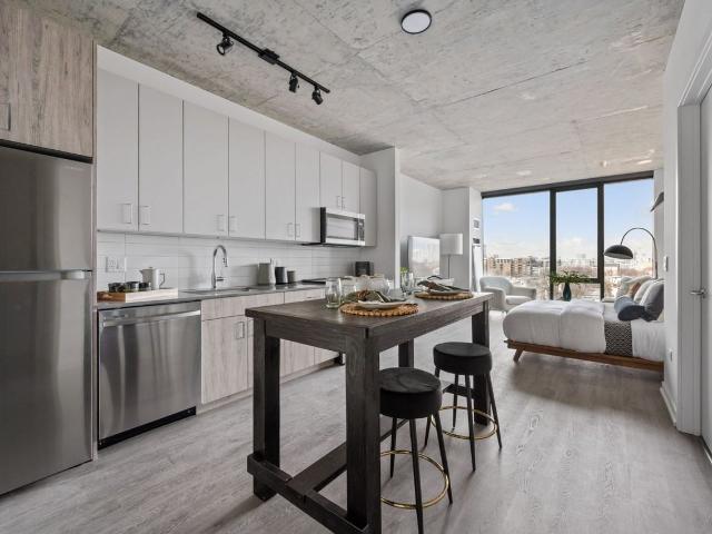 Studio Apartment for Rent at 808 N Cleveland Ave, Chicago, IL 60610 Near North Side