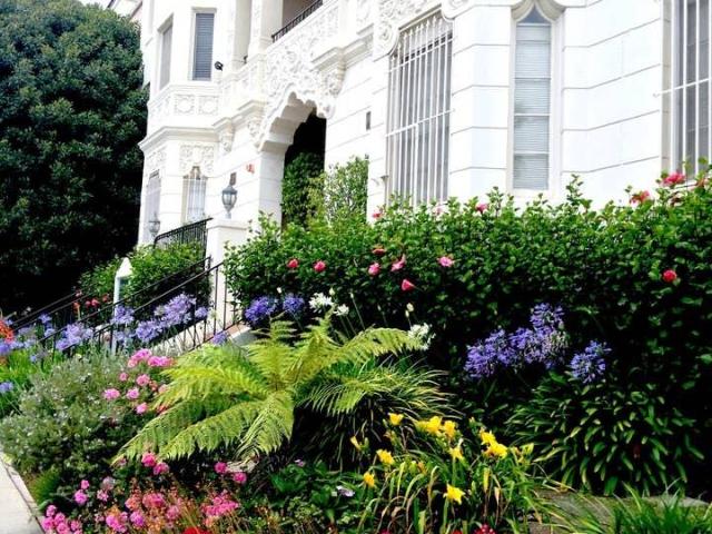 Studio Apartment for Rent at 827 4th St #303, Santa Monica, CA 90403 Wilshire Montana