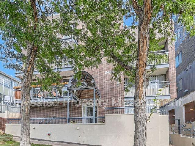 Studio Apartment for Rent at 830 N Sherman St #203, Denver, CO 80203 Capitol Hill