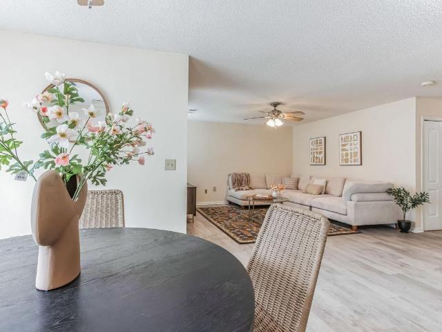 Studio Apartment for Rent at 950 Travelers Blvd, Summerville, SC 29485