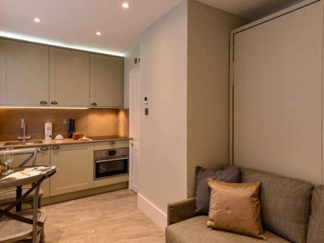 Studio apartment for rent in Marylebone, London