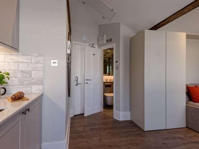 Studio apartment for rent in Marylebone, London