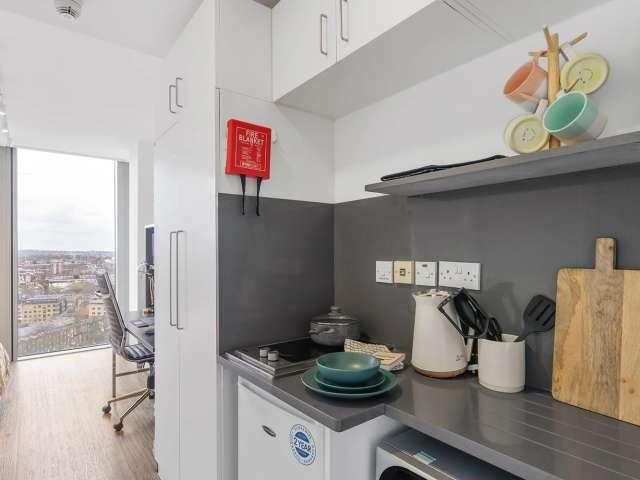 Studio apartment for rent in a residence in London