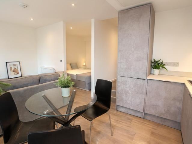 Studio apartment for rent in Alma Street, Luton, Bedfordshire, LU1