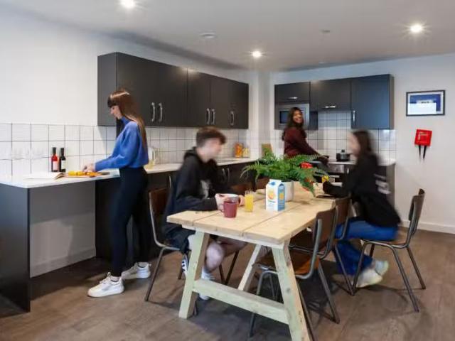 Studio apartment for rent in Erskine Street, LIVERPOOL, L6