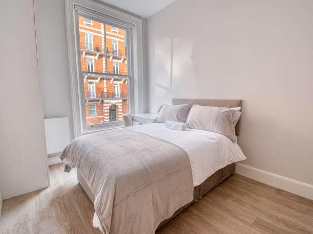 Studio apartment for rent in Kensington, London