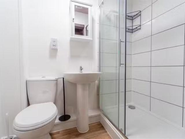 Studio apartment for rent in Pershore Road, Stirchley, B30