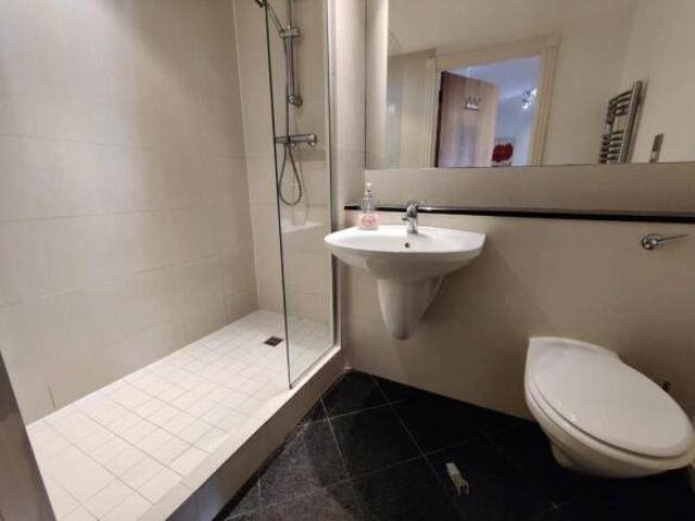 Studio apartment for rent in Sheepcote Street, Birmingham, B16