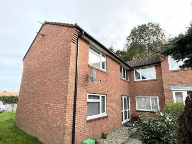 Studio Apartment For Rent In Wellington