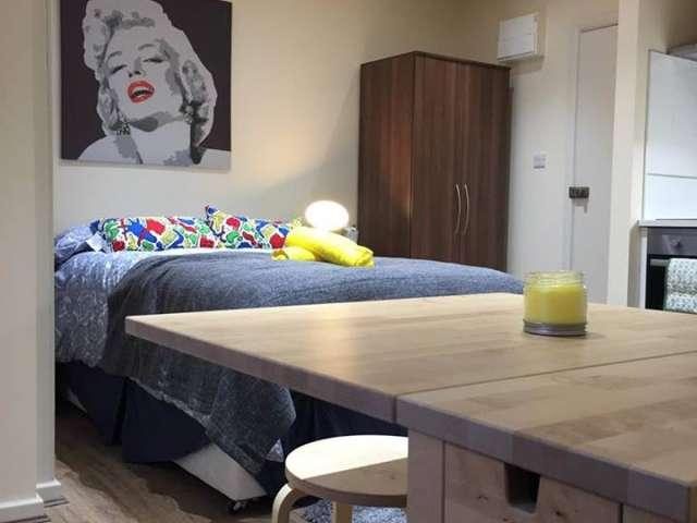 Studio apartment for rent in Willesden Green, London