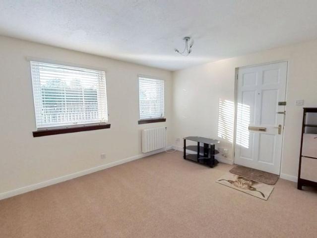 studio apartment to rent
