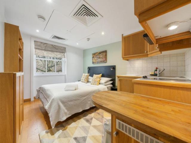 Studio apartment with in Bloomsbury WC1H