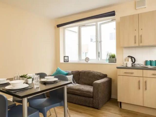Studio Apartment