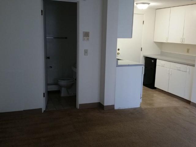 Studio Available Now! ~Blocks from the Capitol Square~ 1 Bedroom Apartment for Rent at 126 S Franklin St, Madison, WI 53703 Downtown Madison