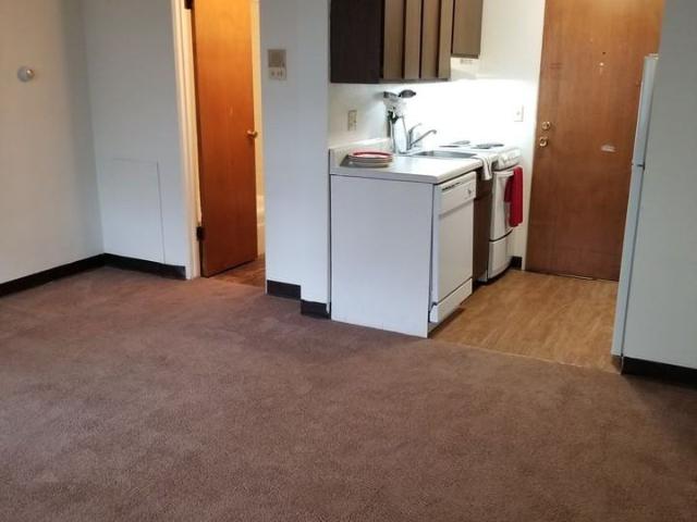 Studio Available Now! ~Blocks from the Capitol Square~ Studio Apartment for Rent at 126 S Franklin St, Madison, WI 53703 Downtown Madison