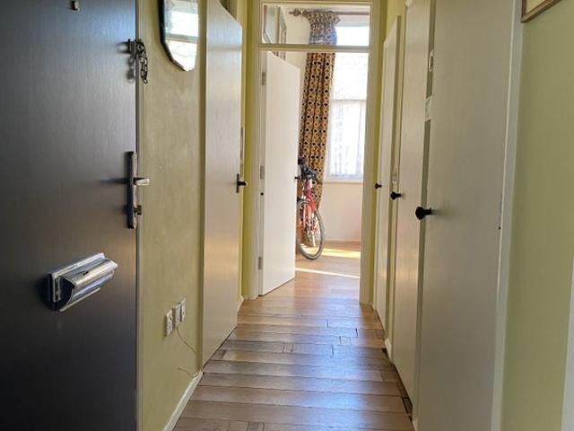 Studio available for 3 months