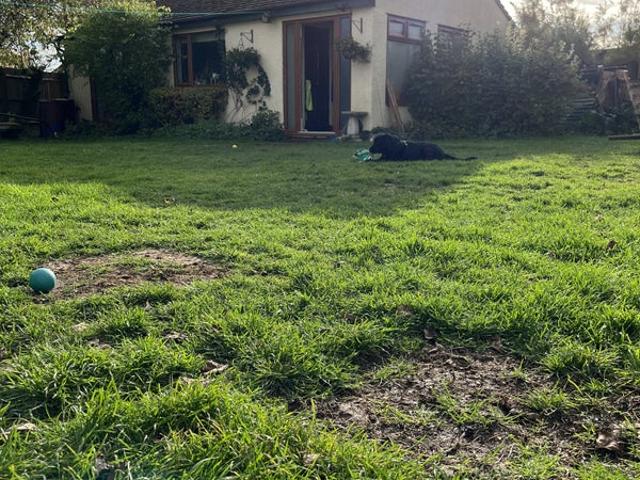 Studio available for lodger