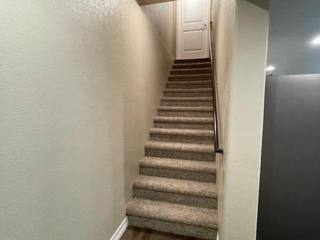 Studio Basement Room for Rent