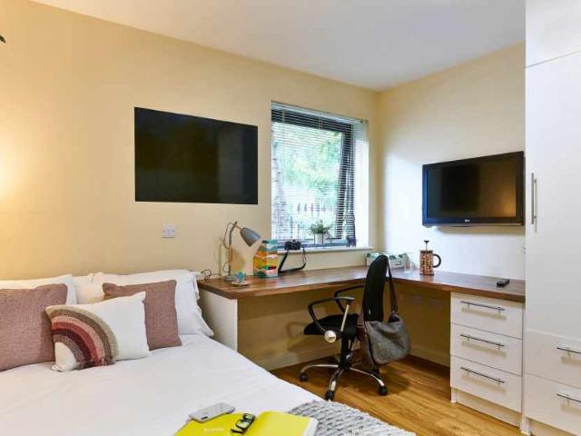 Studio Deluxe, at The Hub