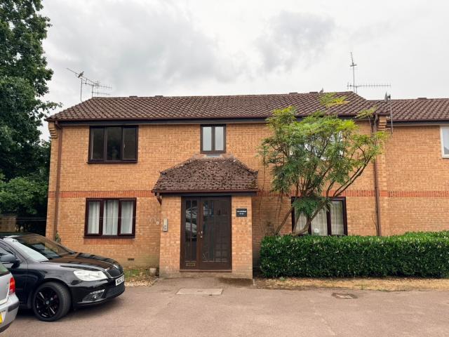 studio for rent in Columbine Close, Thetford, Thetford