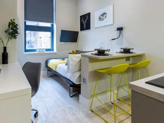Studio to rent on Chesnut Road, London