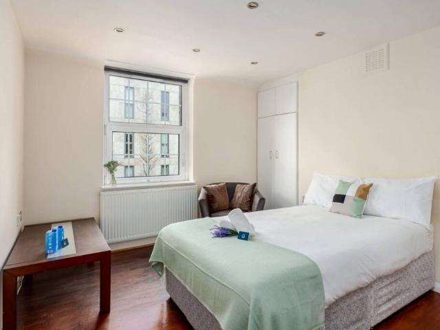 studio for rent in Ebury Bridge Road, SW1W 8QQ