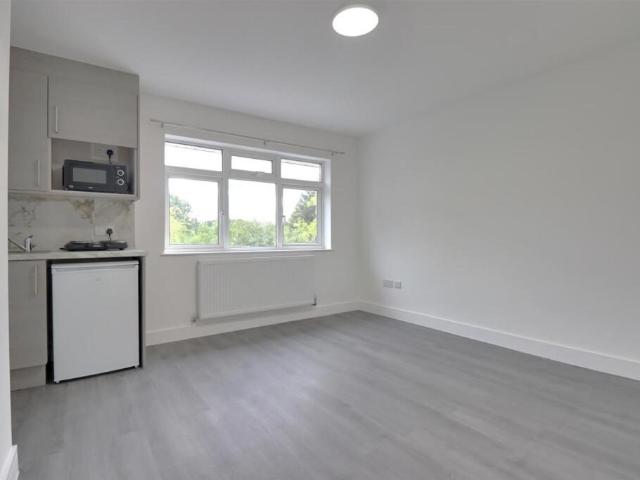 studio for rent in Fort Road, UB5 5HH