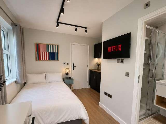 Studio for rent in Hounslow Heath, London