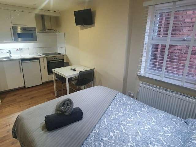 Studio for rent in Mapesbury, London