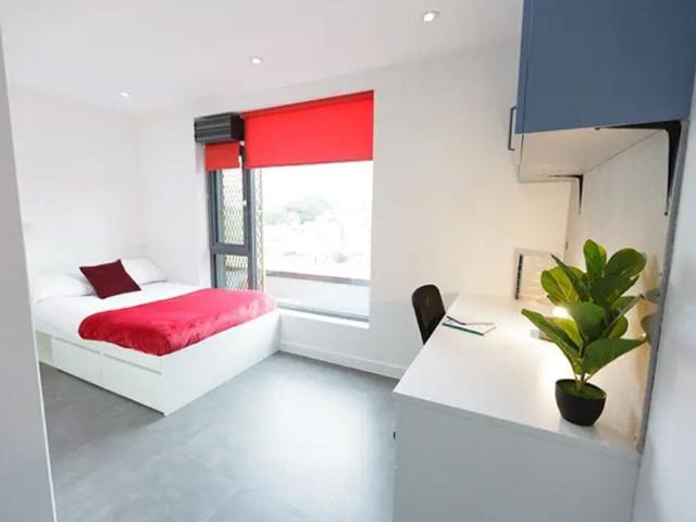 Studio to rent on New Cross Road, London