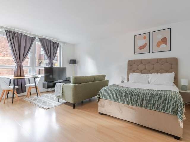 Studio for rent in Prince's, London