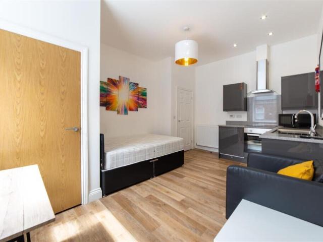 studio for rent in Ridley Place, NE1 8JN