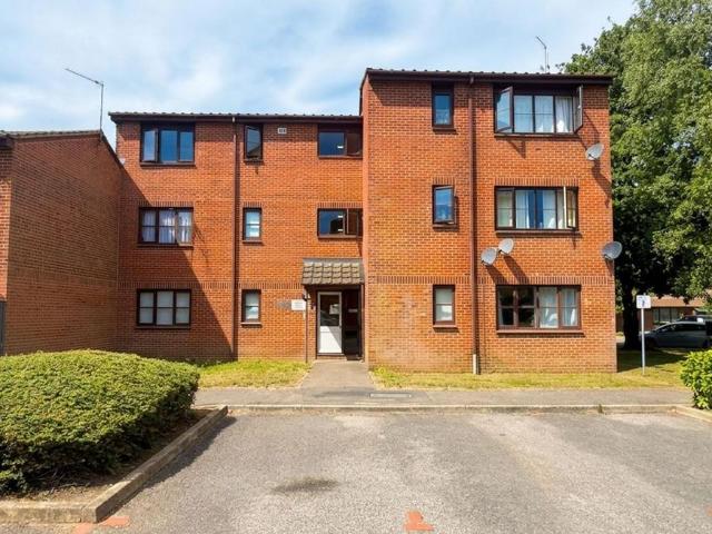 Studio for sale