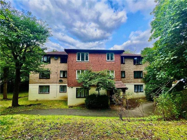 Studio for sale