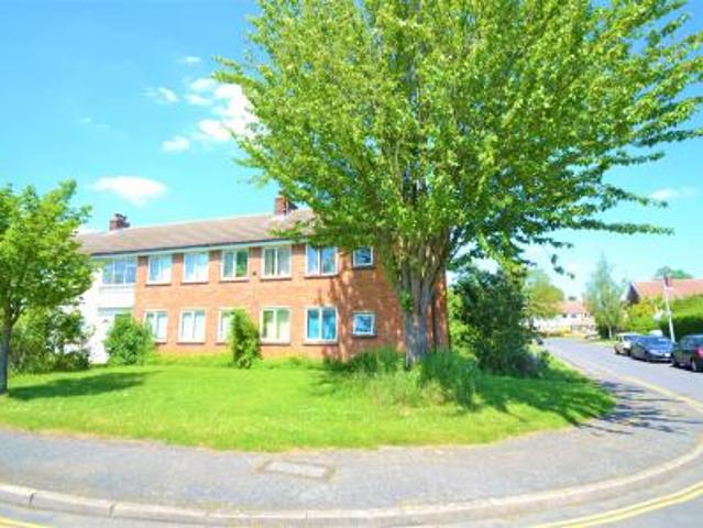 Studio flat To Let