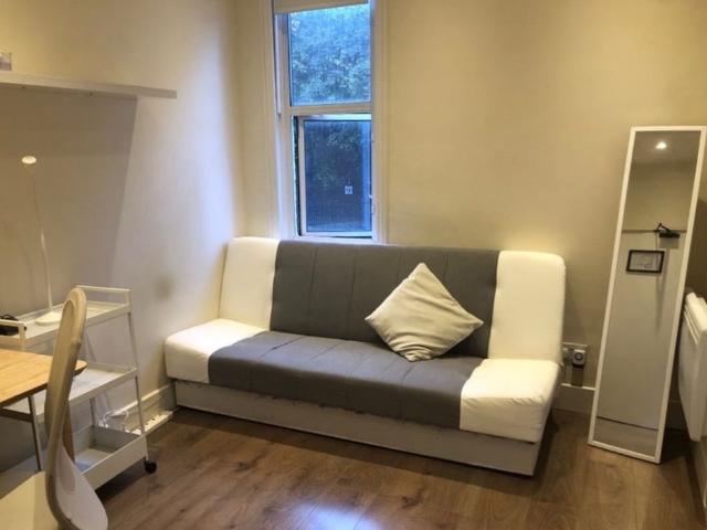 Studio Flat, Willoughby Lane, N17